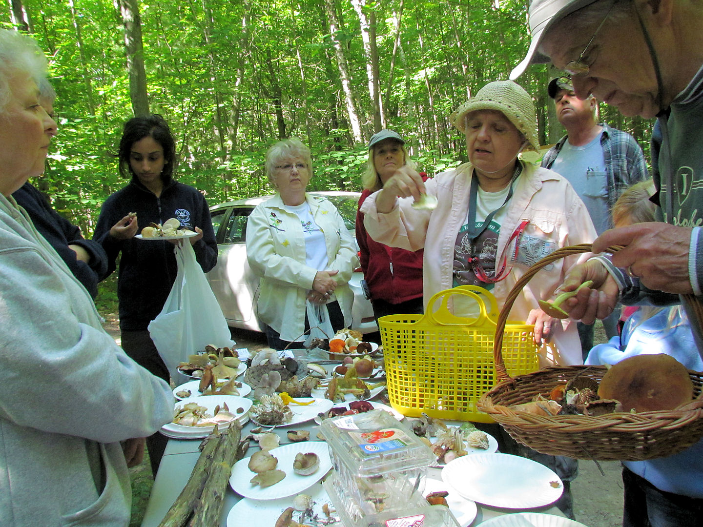 4th Thursday Mushrooms_m – Chippewa Watershed Conservancy