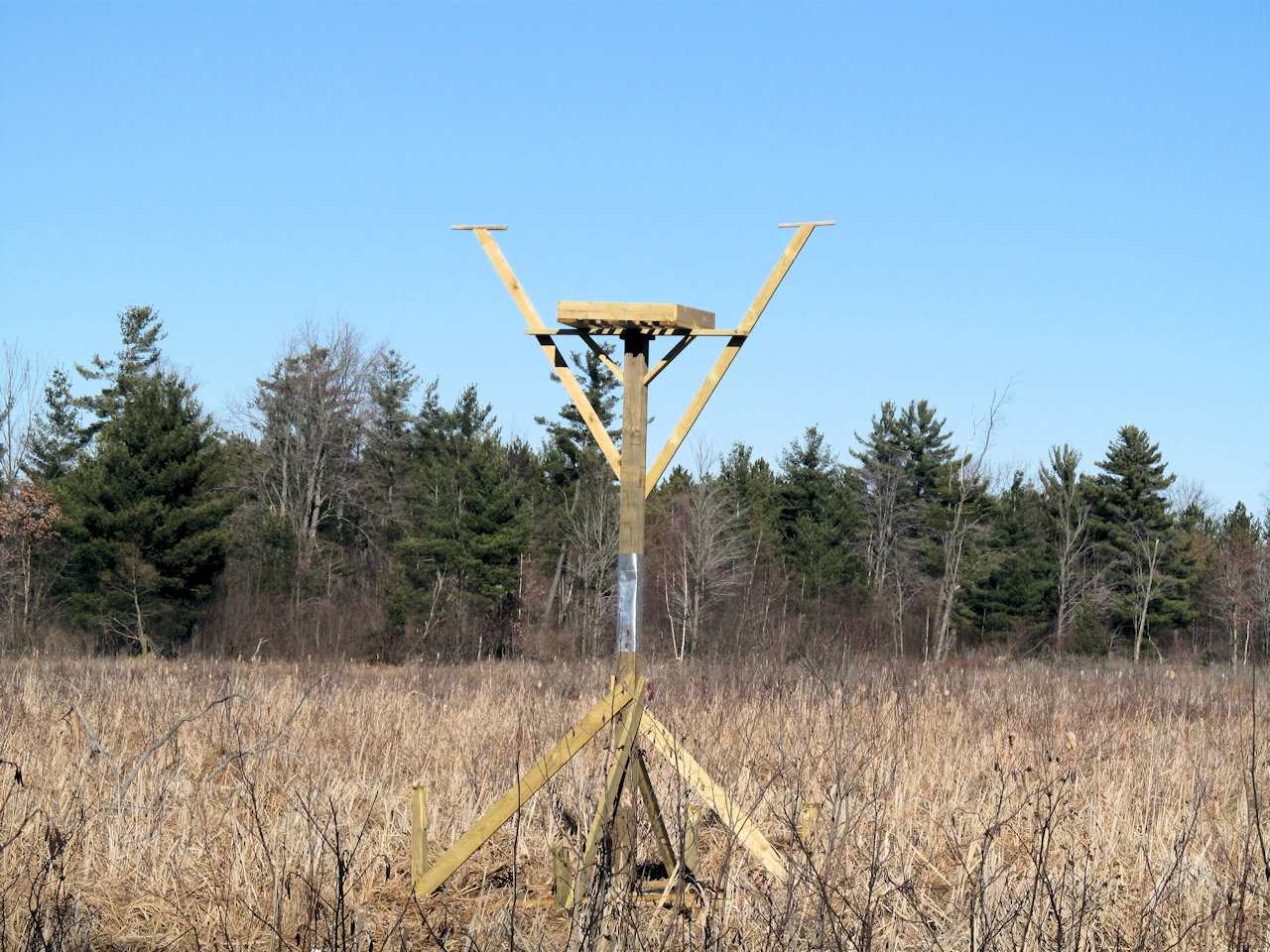 Osprey Platform – Chippewa Watershed Conservancy